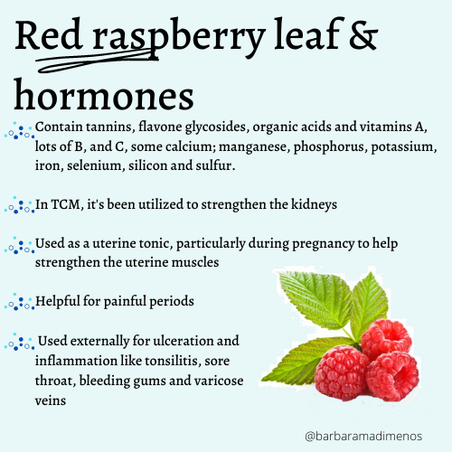 Red raspberry leaf as a uterine tonic – Barbara Madimenos | Integrative ...